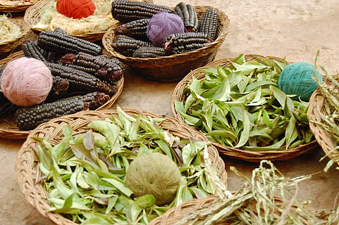 Textiles Naturales y sus Tintes. 1ª Parte. :: Insenia Design School Madrid